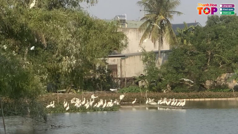 Top 5 hồ câu cá giải trí giá rẻ Thanh Hóa vui chơi, thư giãn